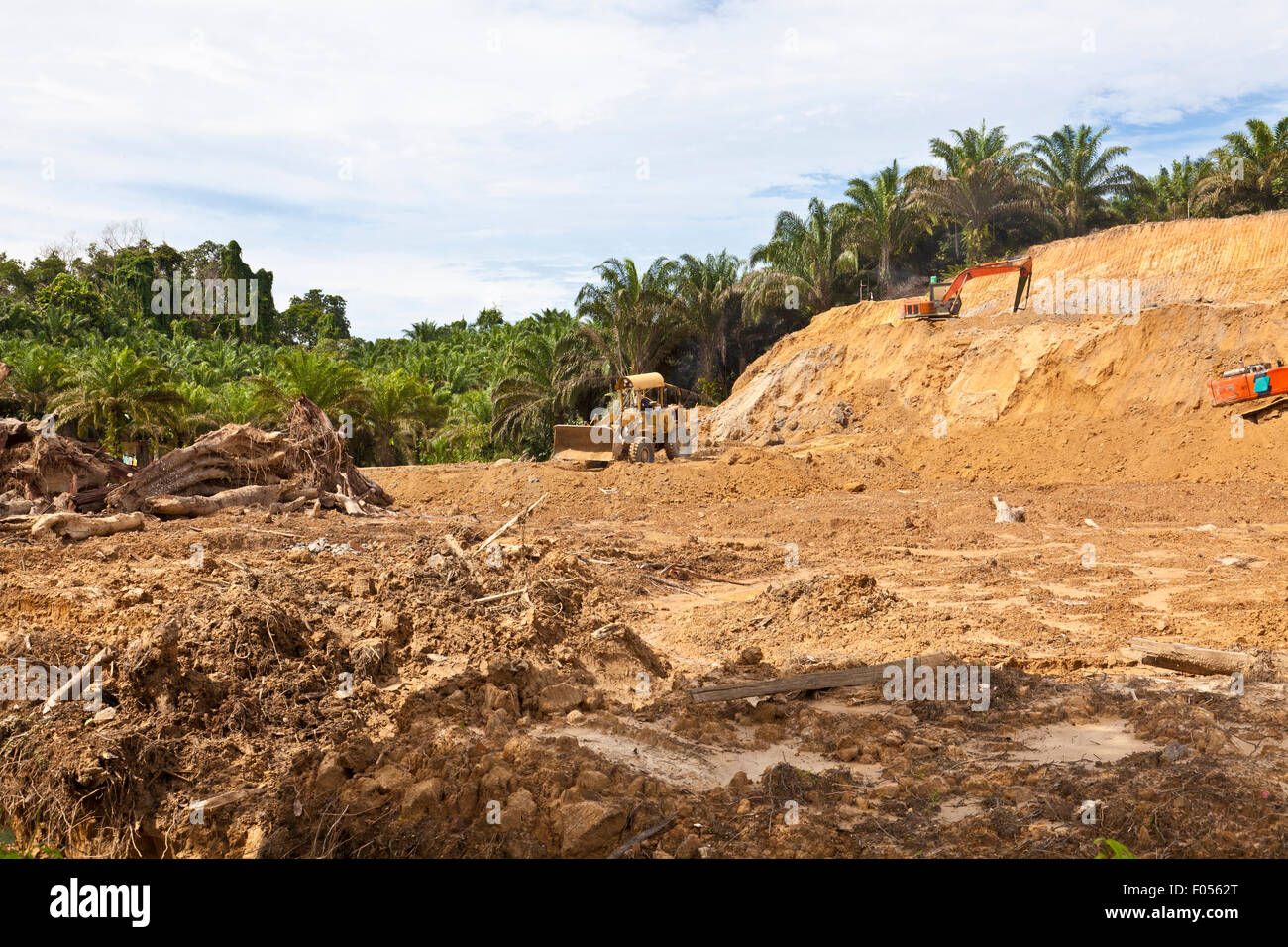 Bulldozer deforestation forest Banque de photographies et d’images à ...