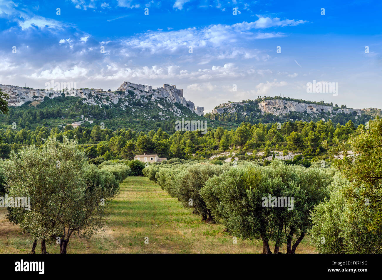 Parc naturel des alpilles Banque de photographies et d’images à haute ...