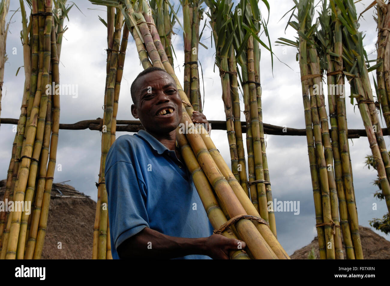 Un congolais sourit alors qu'il tient une canne à sucre dans un marché ... Un congolais sourit alors qu'il tient une canne à sucre dans un marché ...