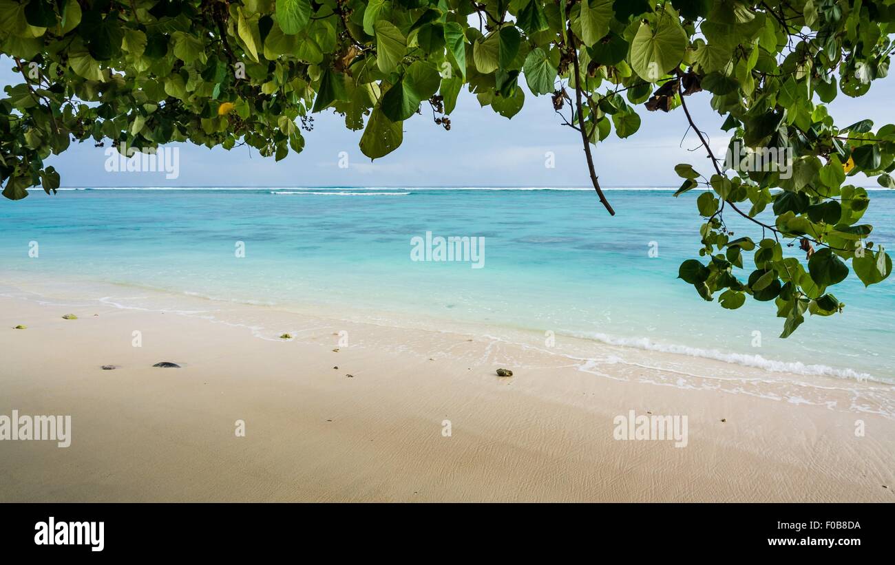 Visiter les îles Cook Photo Stock - Alamy