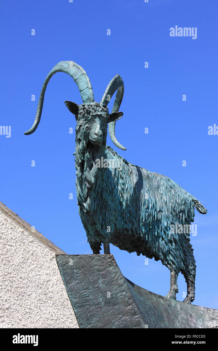 Kashmir goat Banque de photographies et d’images à haute résolution - Alamy