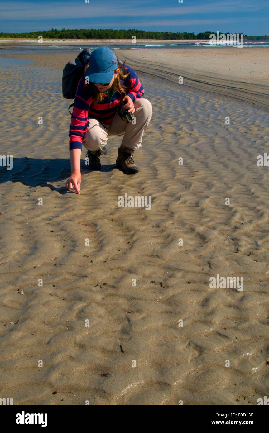 Petite plage de cherchell Banque de photographies et d’images à haute ...