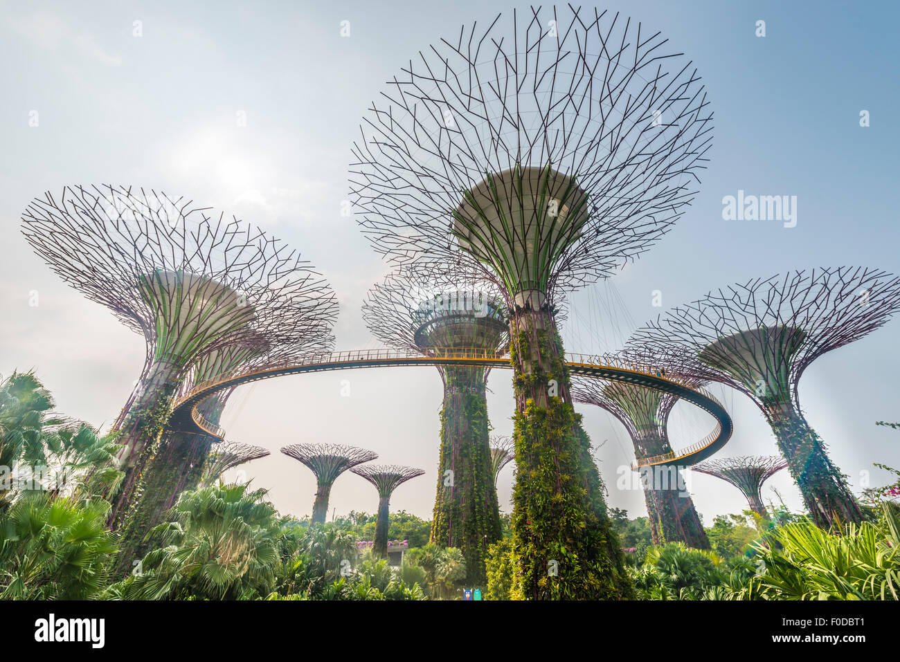 Supertrees gardens bay Banque de photographies et d’images à haute ...