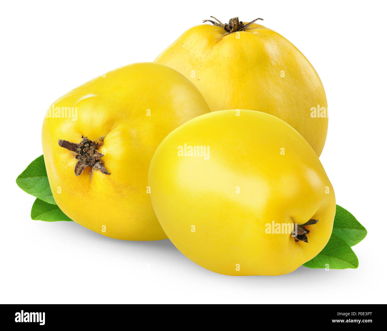 Feuilles de coing Banque d'images détourées - Alamy