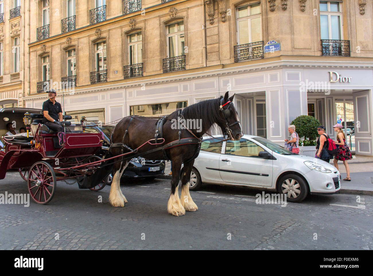 Paris street tourists riding horse carriage buggy Banque de ...