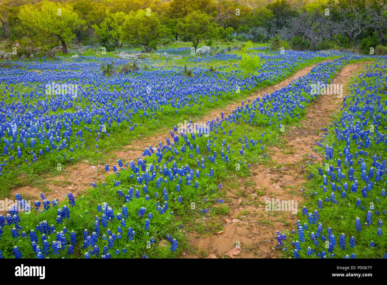 Paysage du texas Banque de photographies et d’images à haute résolution ...