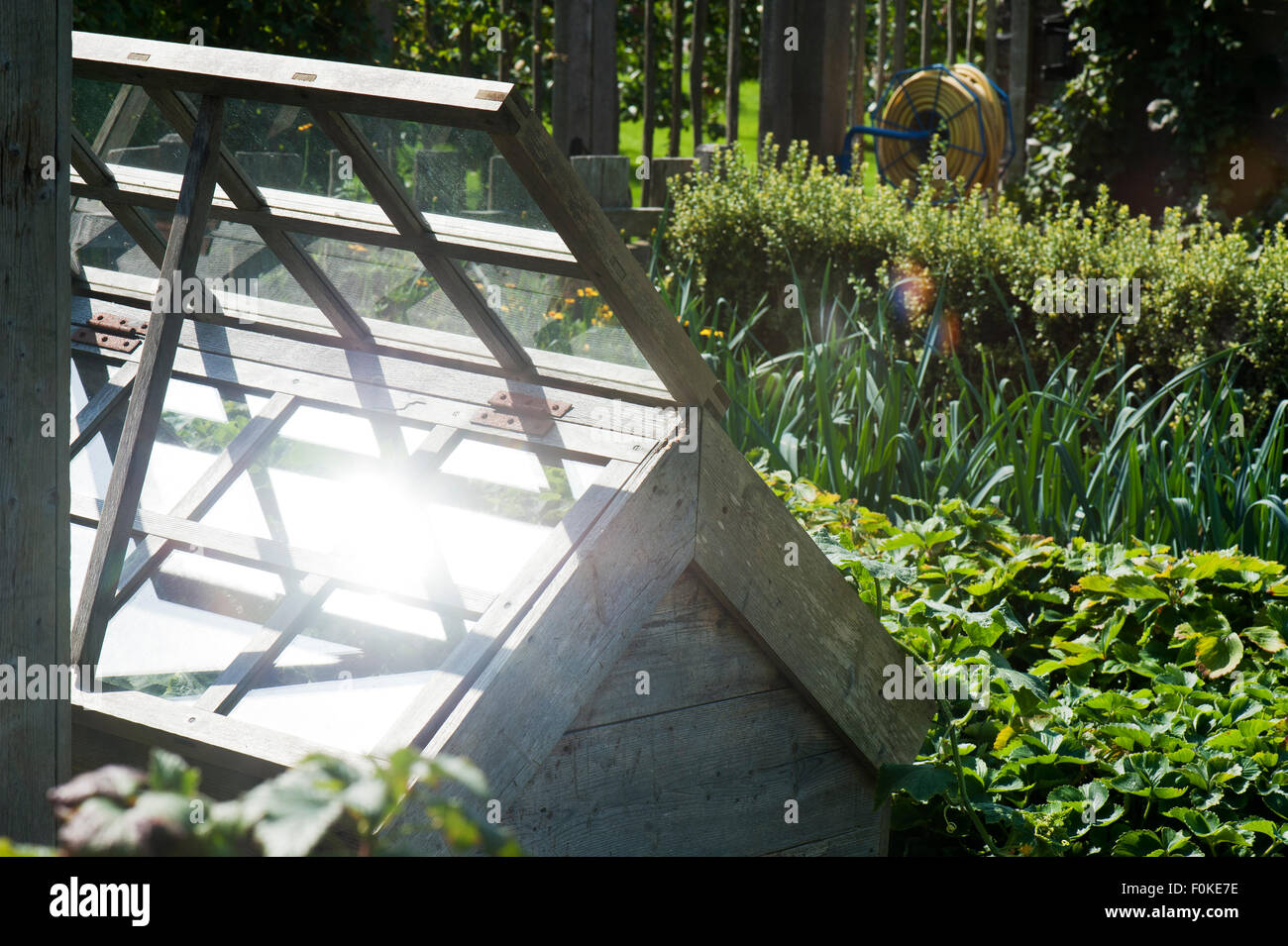 Cadre de jardin froid Banque de photographies et d’images à haute ...
