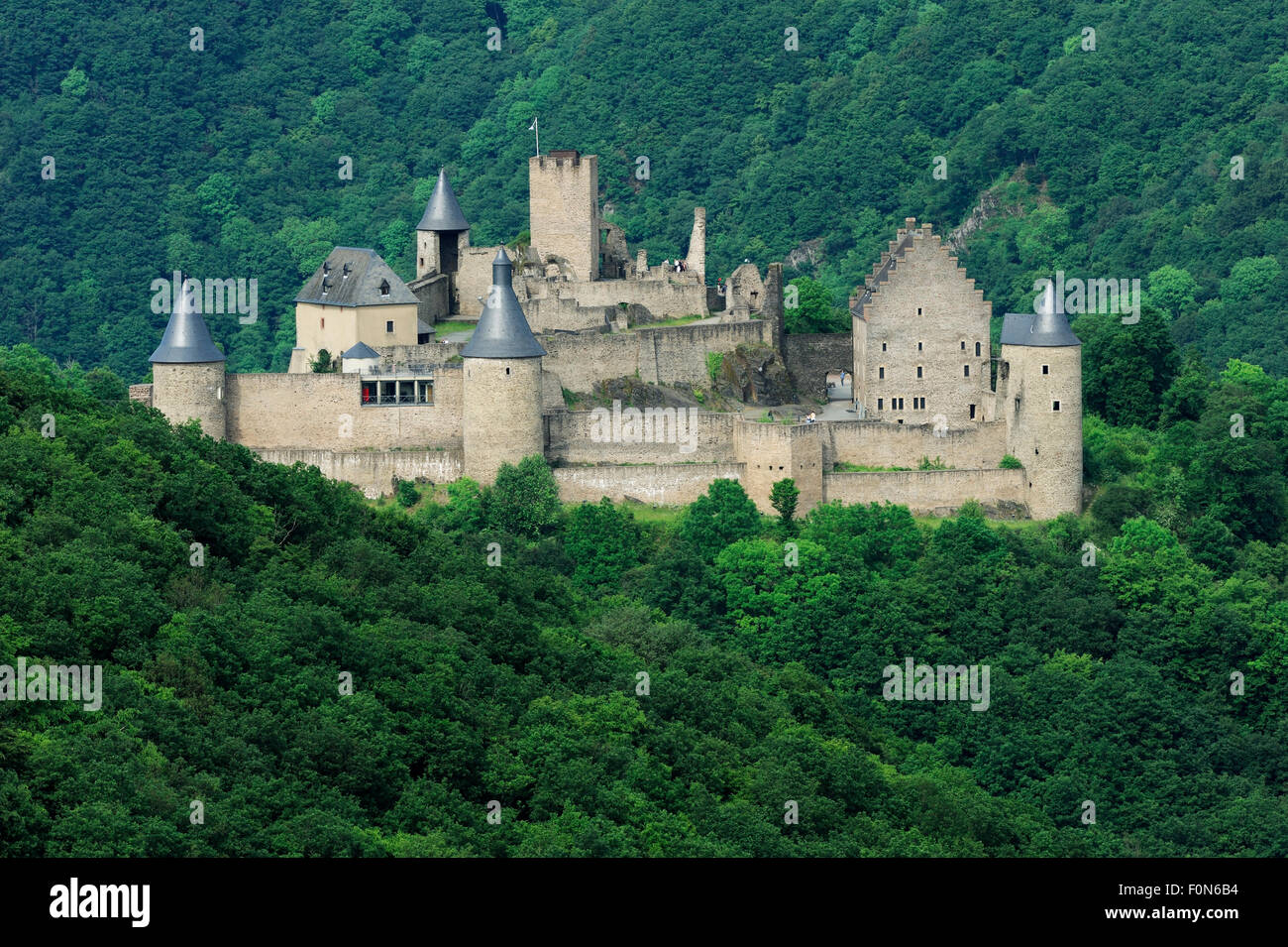 Château de Bourscheid, l'Oesling, Ardennes, Luxembourg, Mai 2009 Photo ...