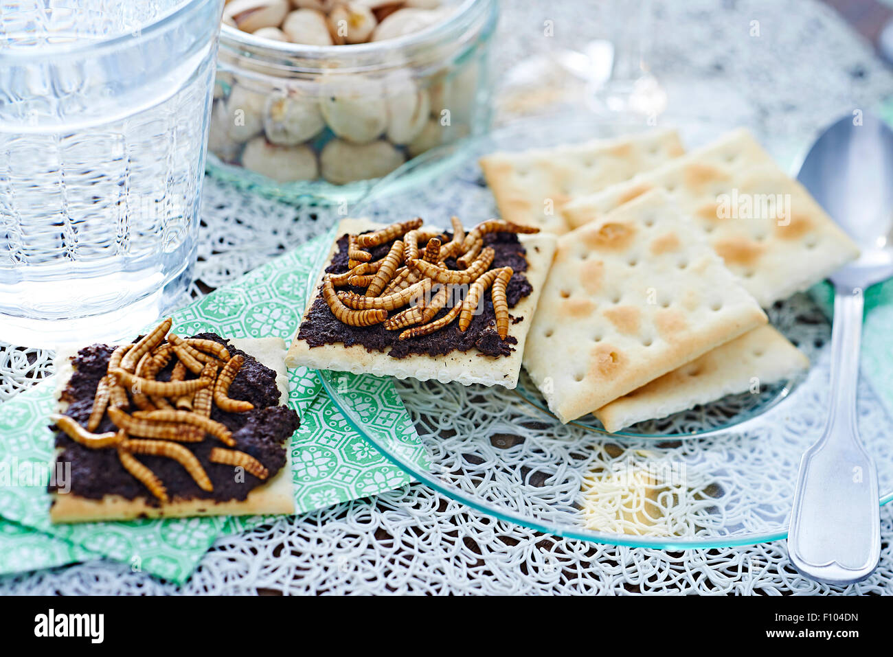 Nourriture pour insectes Banque de photographies et d’images à haute ...