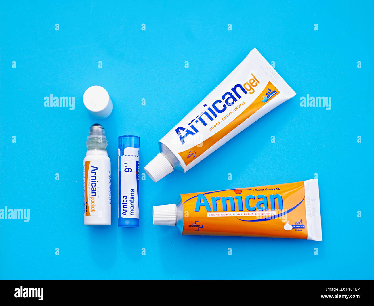 Arnica sp Banque de photographies et d’images à haute résolution - Alamy