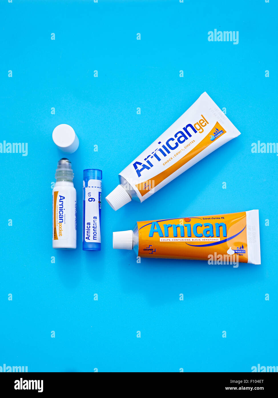 Arnica sp Banque de photographies et d’images à haute résolution - Alamy
