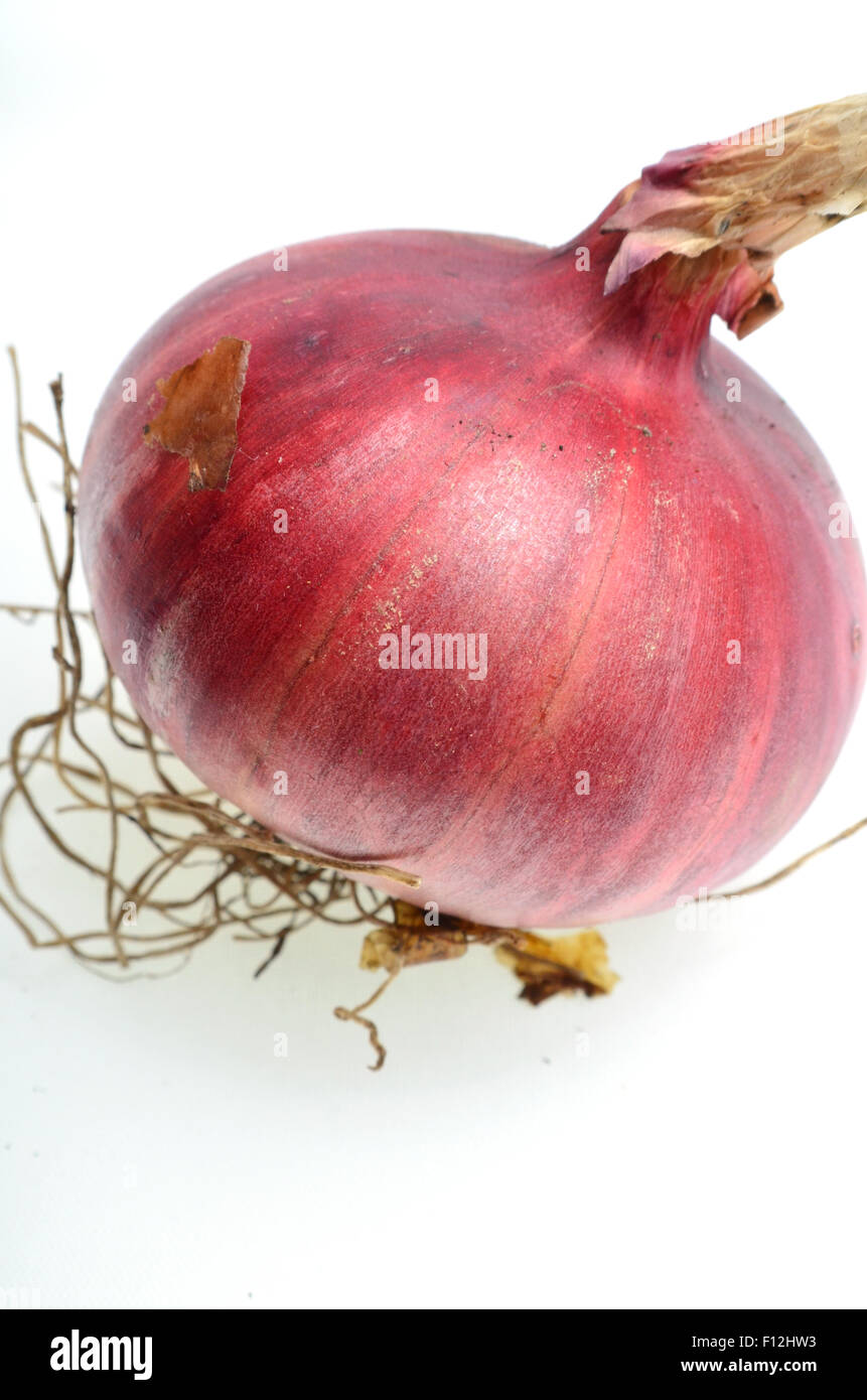 Oignon rouge Banque de photographies et d’images à haute résolution - Alamy