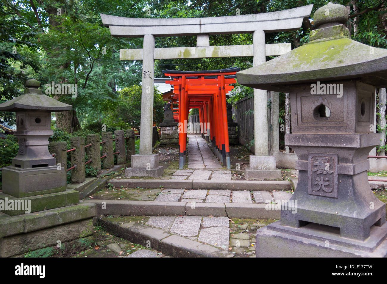 Tori torii porte temple sanctuaire tokyo Banque de photographies et d ...