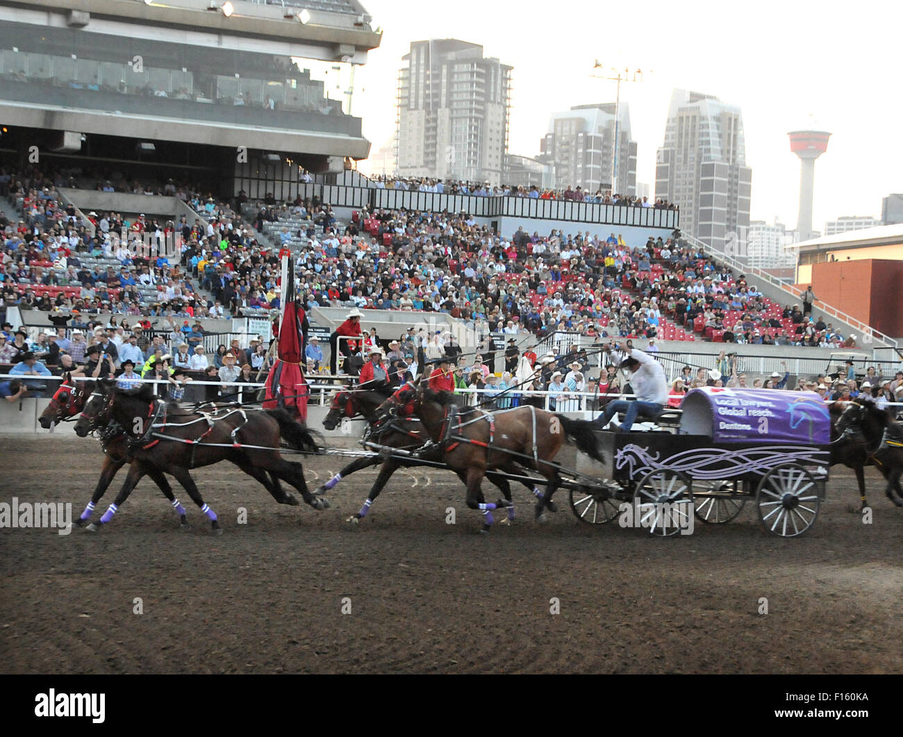 Calgary stampede Banque de photographies et d’images à haute résolution ...
