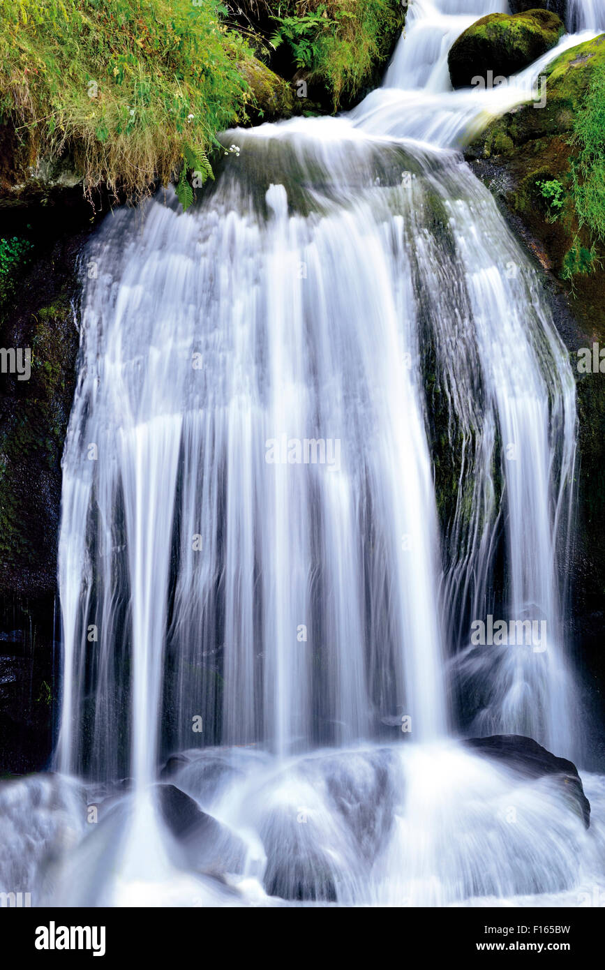 Allemagne, Forêt-Noire : Cascade de la Cascades de Triberg Photo Stock ...