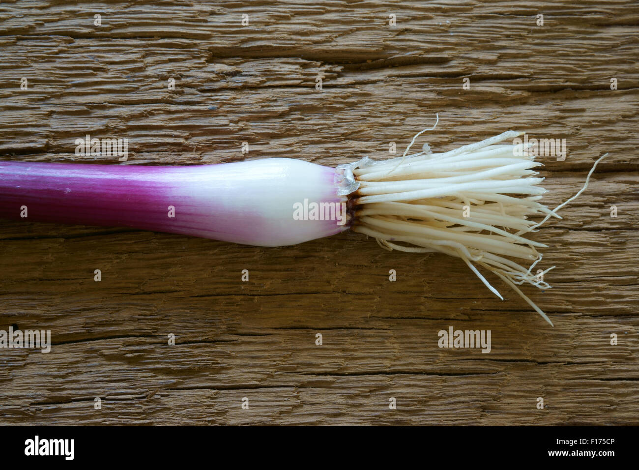 Oignon rouge Banque de photographies et d’images à haute résolution - Alamy