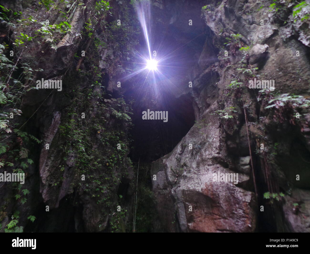 Palawan caves Banque de photographies et d’images à haute résolution ...