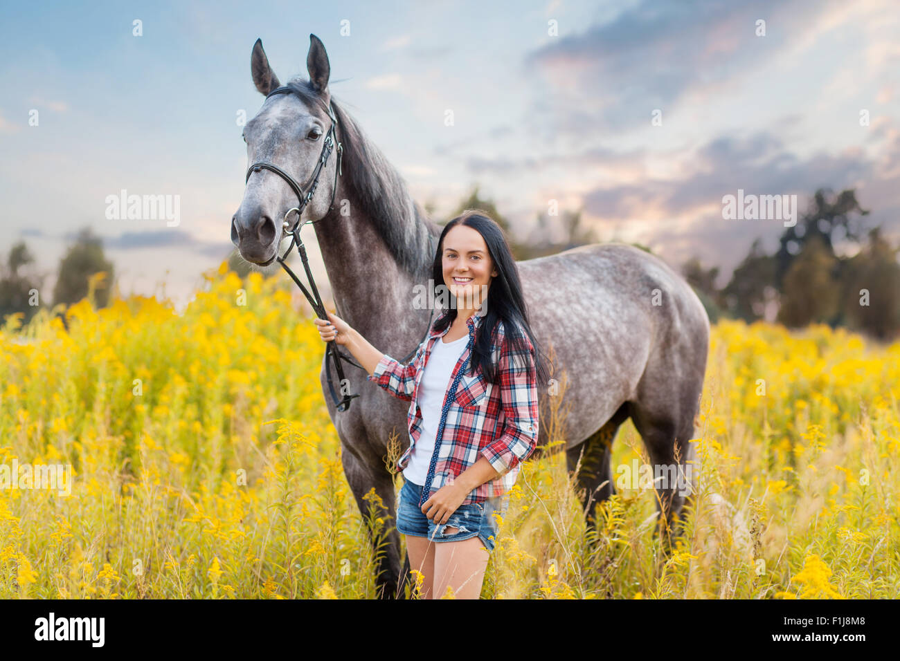 Cheval et femme Banque de photographies et d’images à haute résolution ...