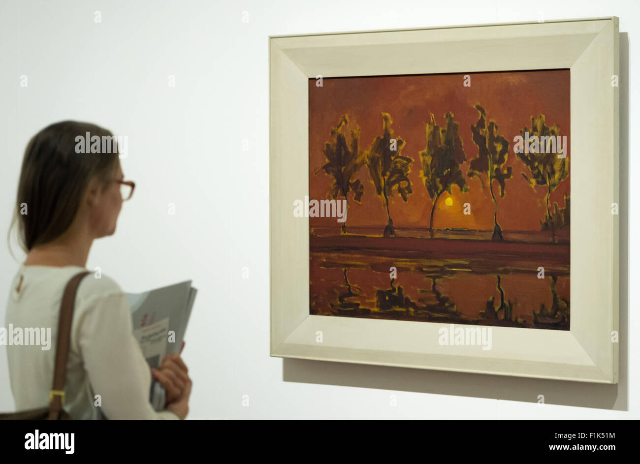 Piet mondrian photo Banque de photographies et d’images à haute ...