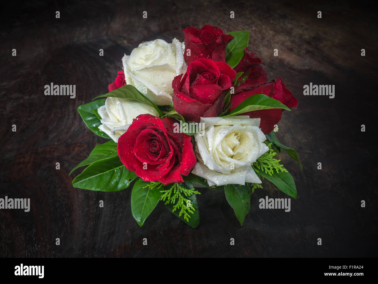 Rose rouge et blanche Banque de photographies et d’images à haute ...