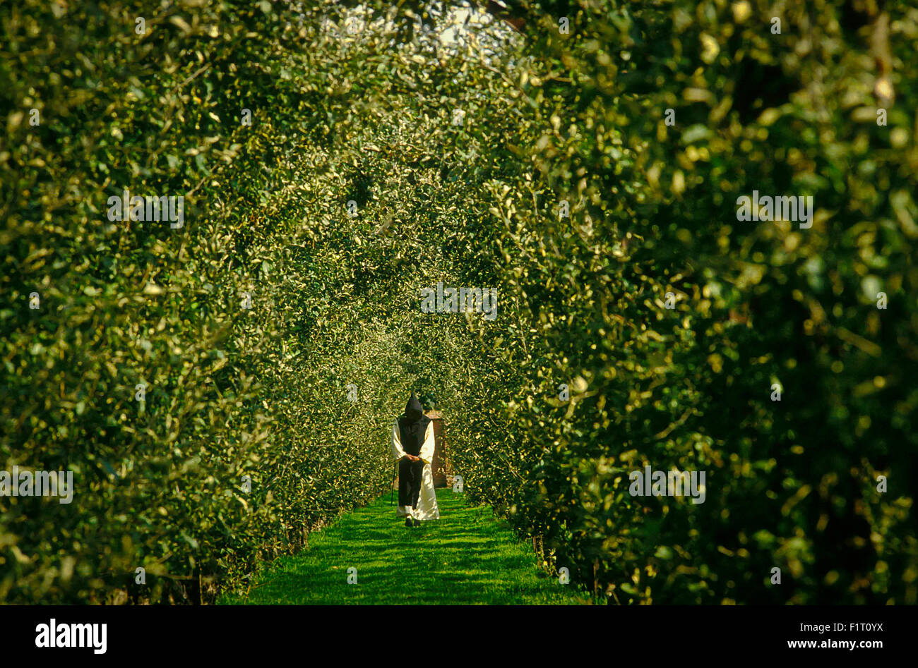 Trappist monk Banque de photographies et d’images à haute résolution ...