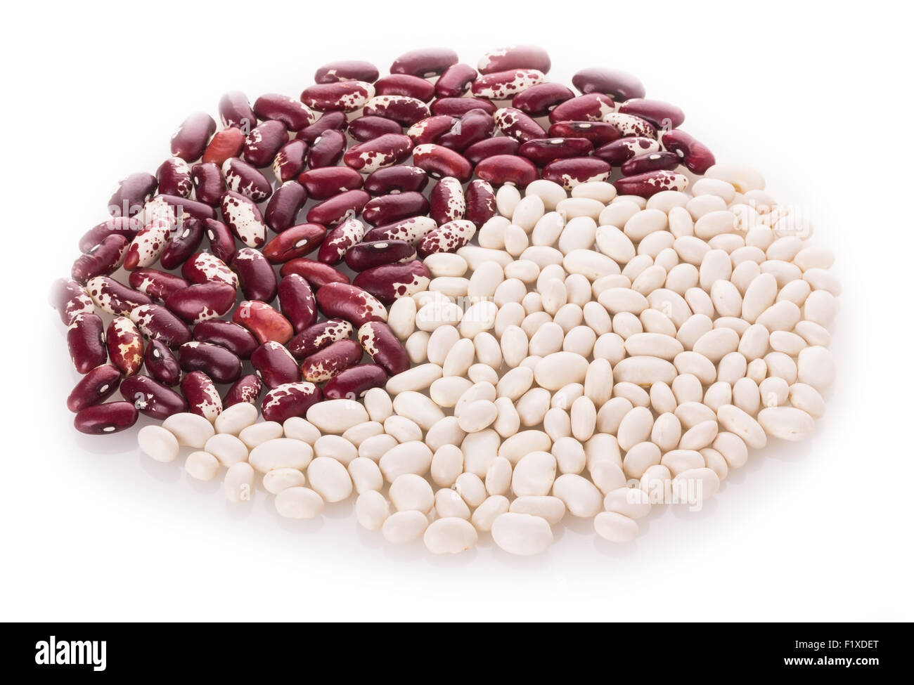 Haricots rouges et blancs Banque de photographies et d’images à haute ...