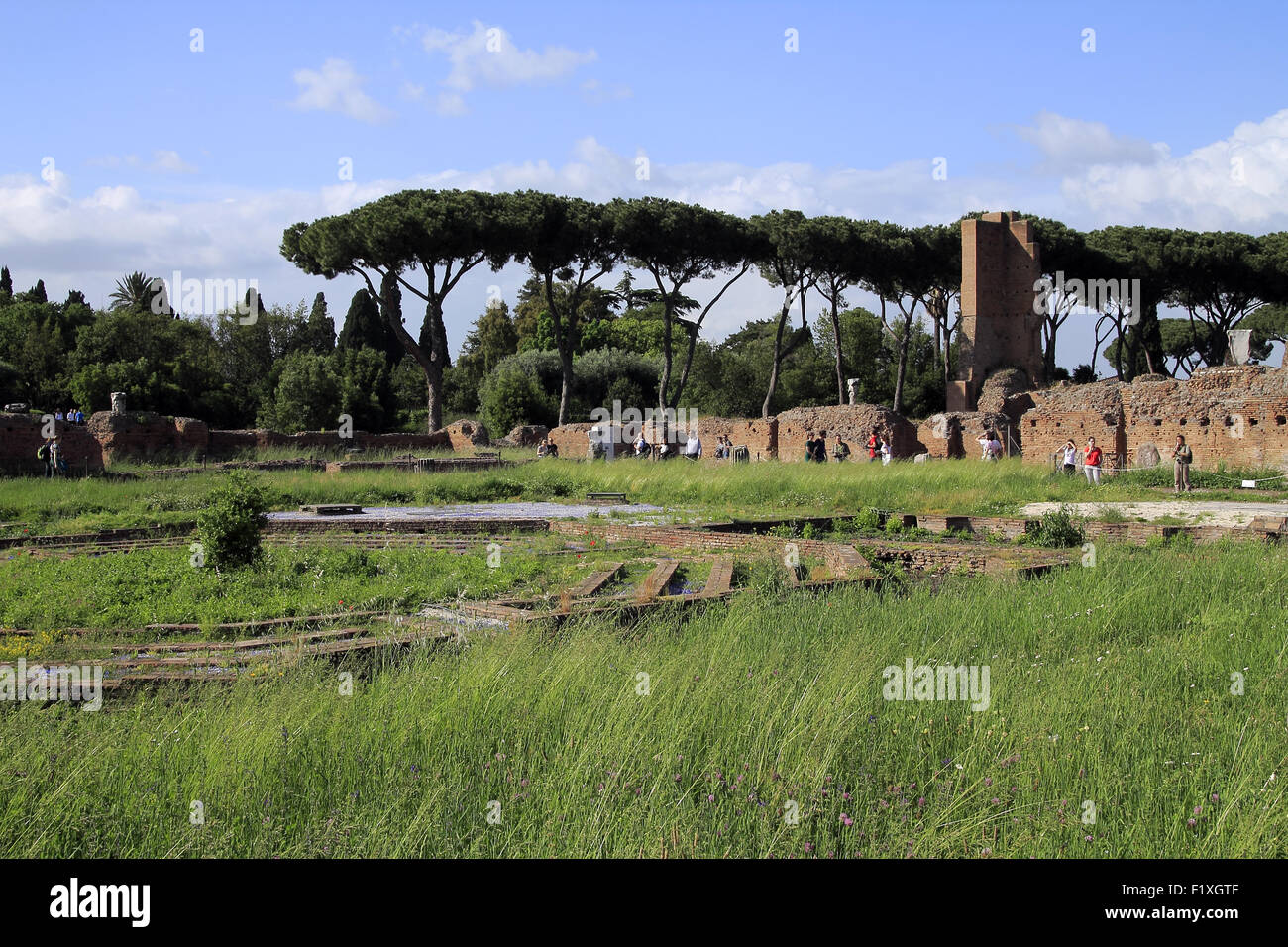 Les ruines anciennes, ancien Empire Romain, la colline du Palatin ...
