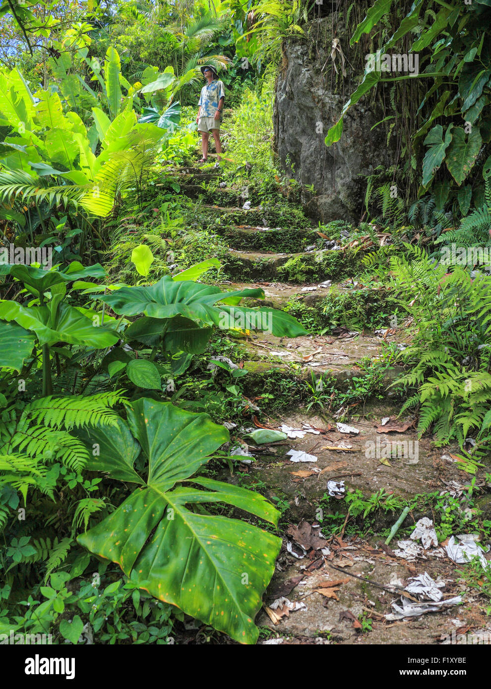 Randonneur sur le sentier du mont. Paysages de Saba Photo Stock - Alamy