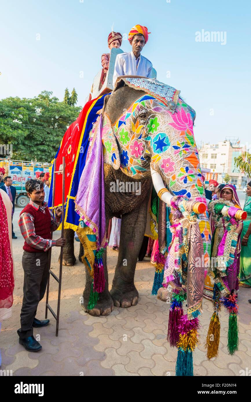 L'Inde, Rajasthan, Jaipur, mariage hindou Brahman, le marié arrive à ...