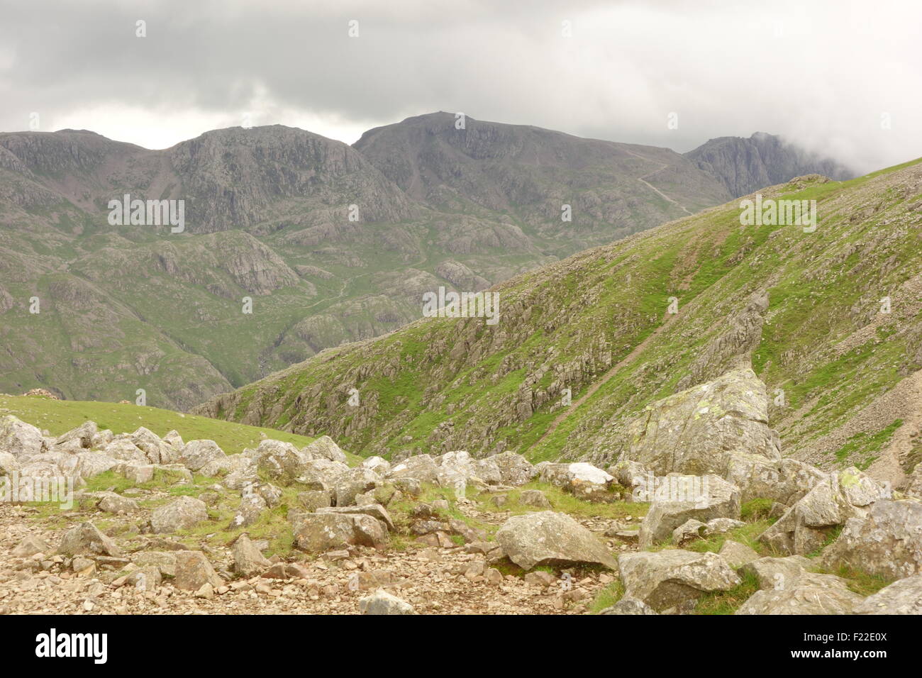 Pignon vert Banque de photographies et d’images à haute résolution - Alamy