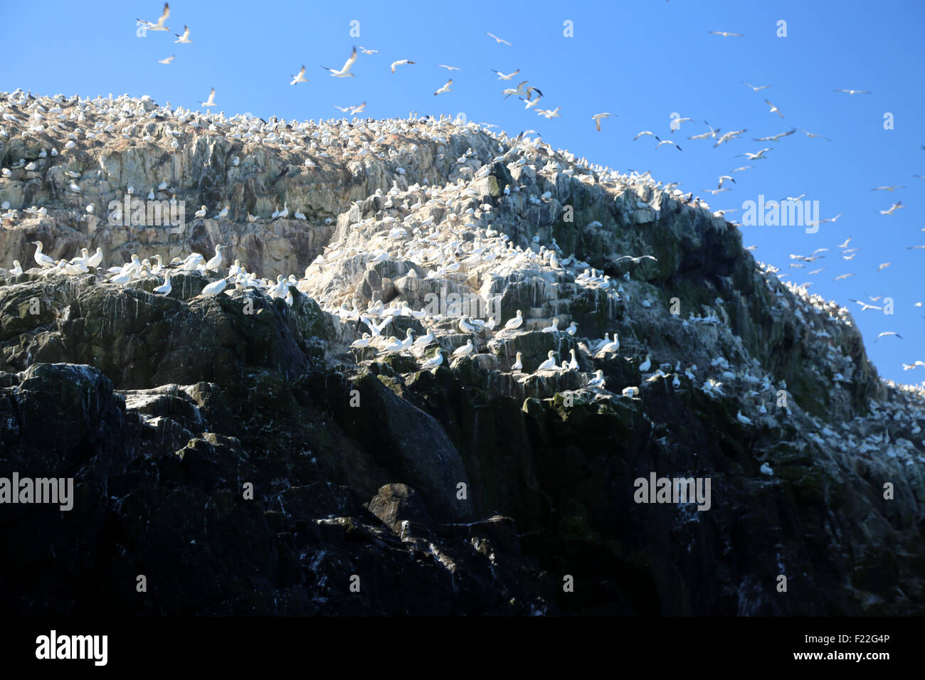 Pembrokeshire ciel classique Banque de photographies et d’images à ...