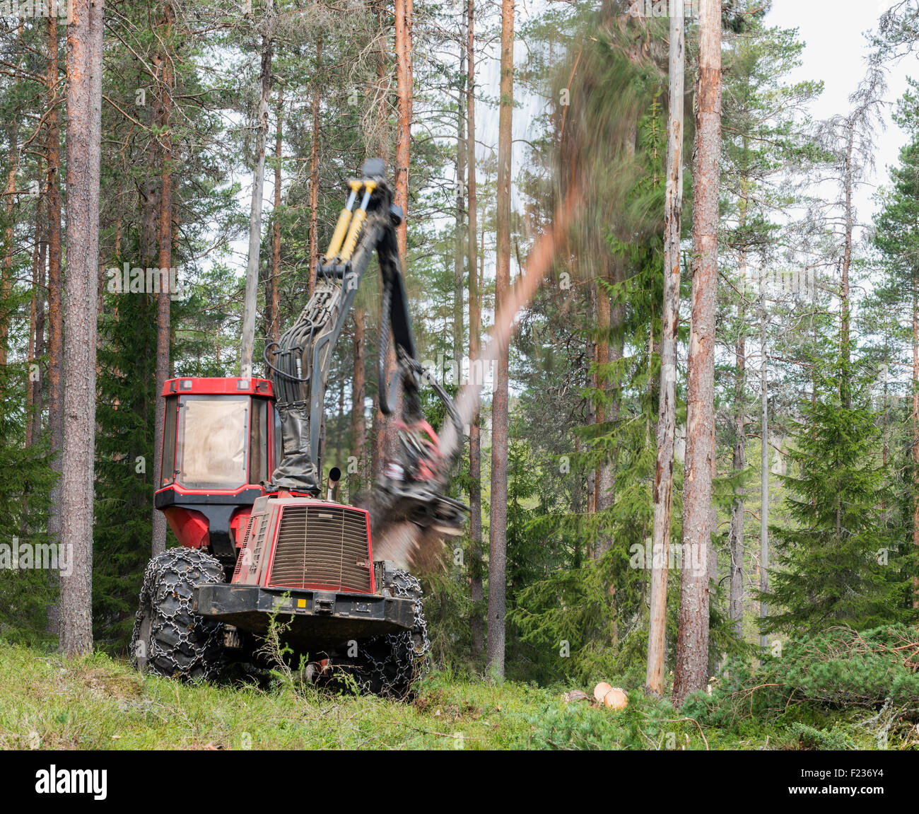 Forestry machine Banque de photographies et d’images à haute résolution ...