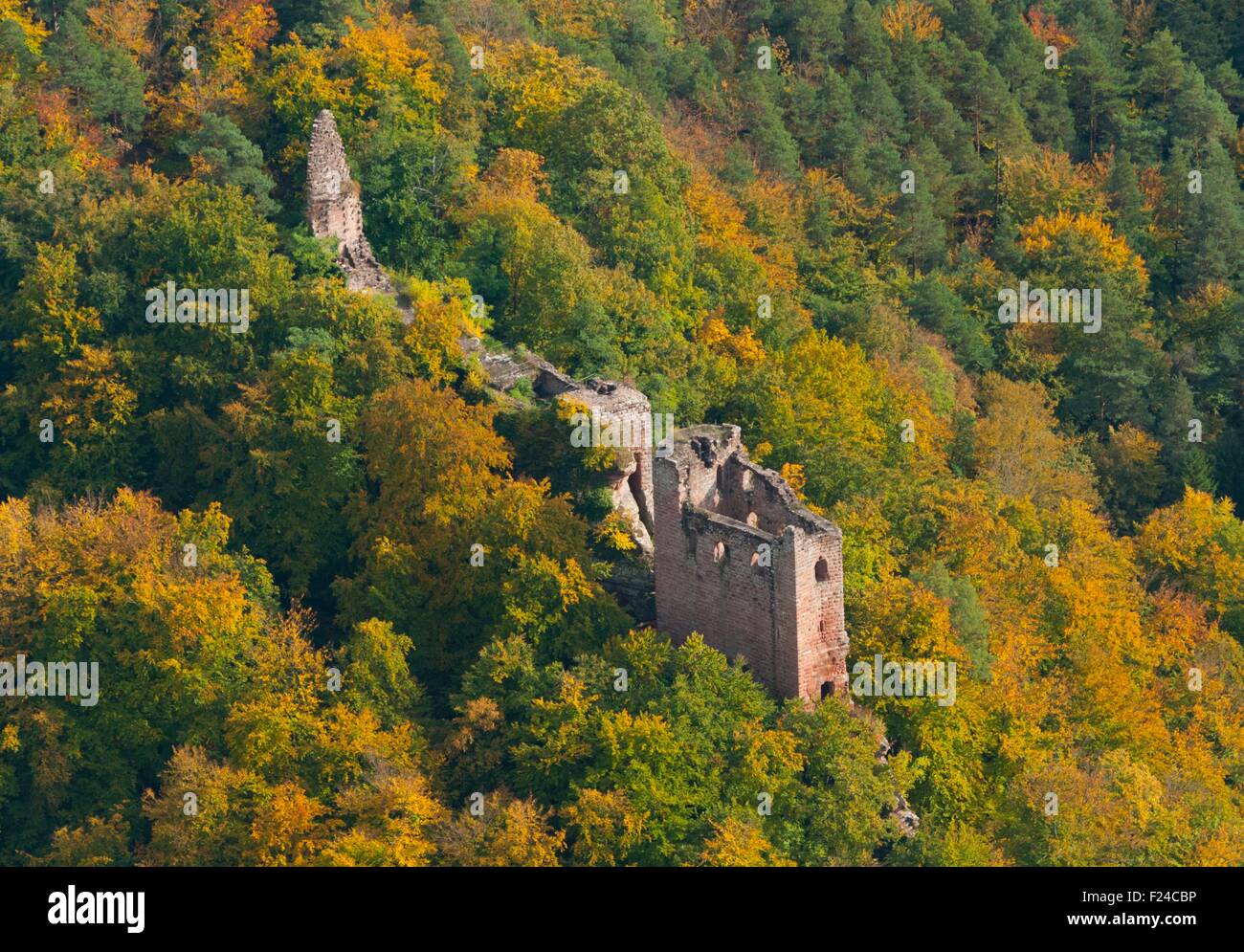 Château Wasigenstein Alsace _ Les chateaux-forts en Alsace – HXYIMD