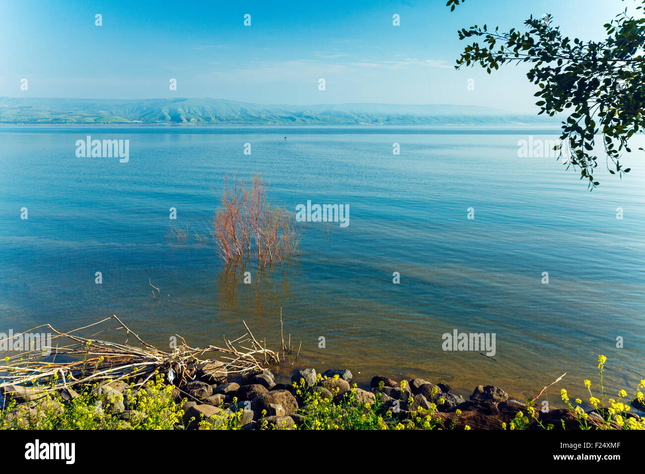 Paysage du lac de Tibériade, Mer de Galilée - Israël Photo Stock - Alamy