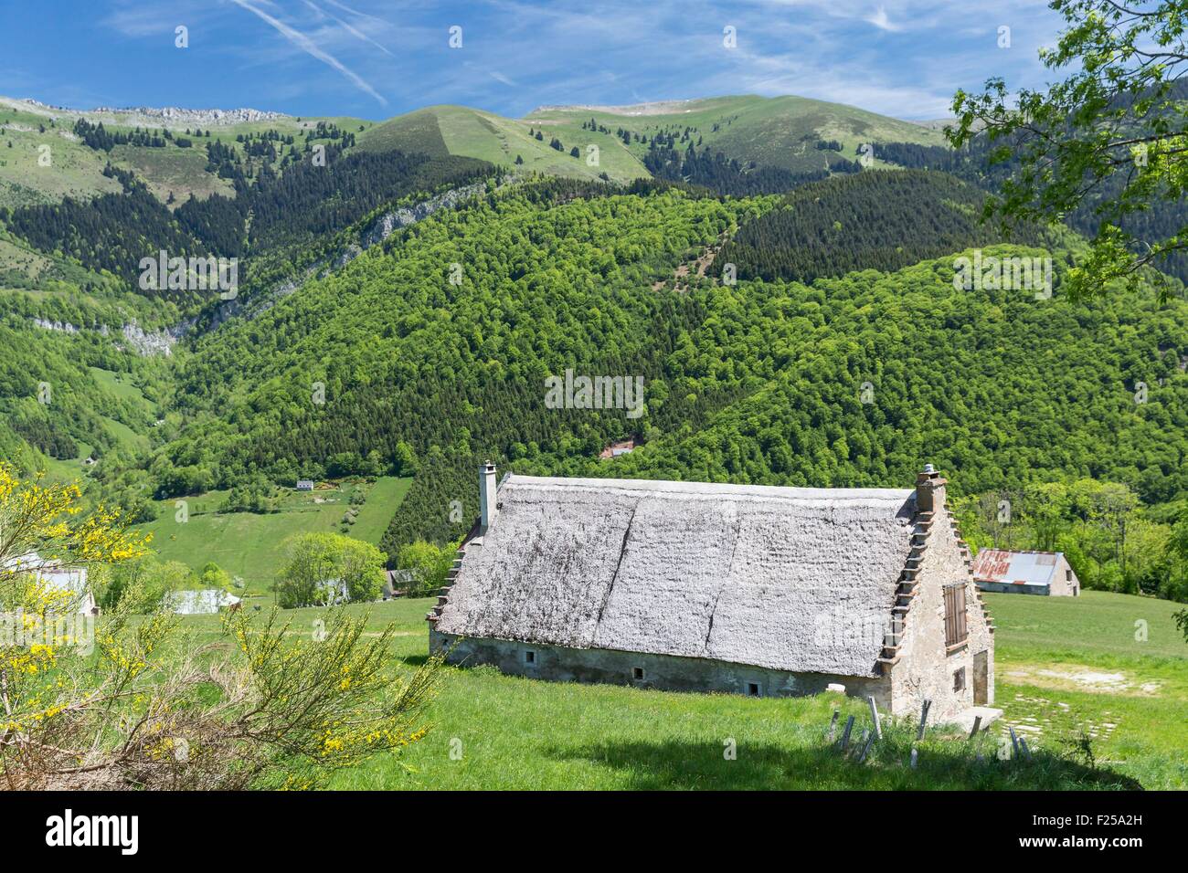 Campan hautes pyrenees Banque de photographies et d’images à haute ...