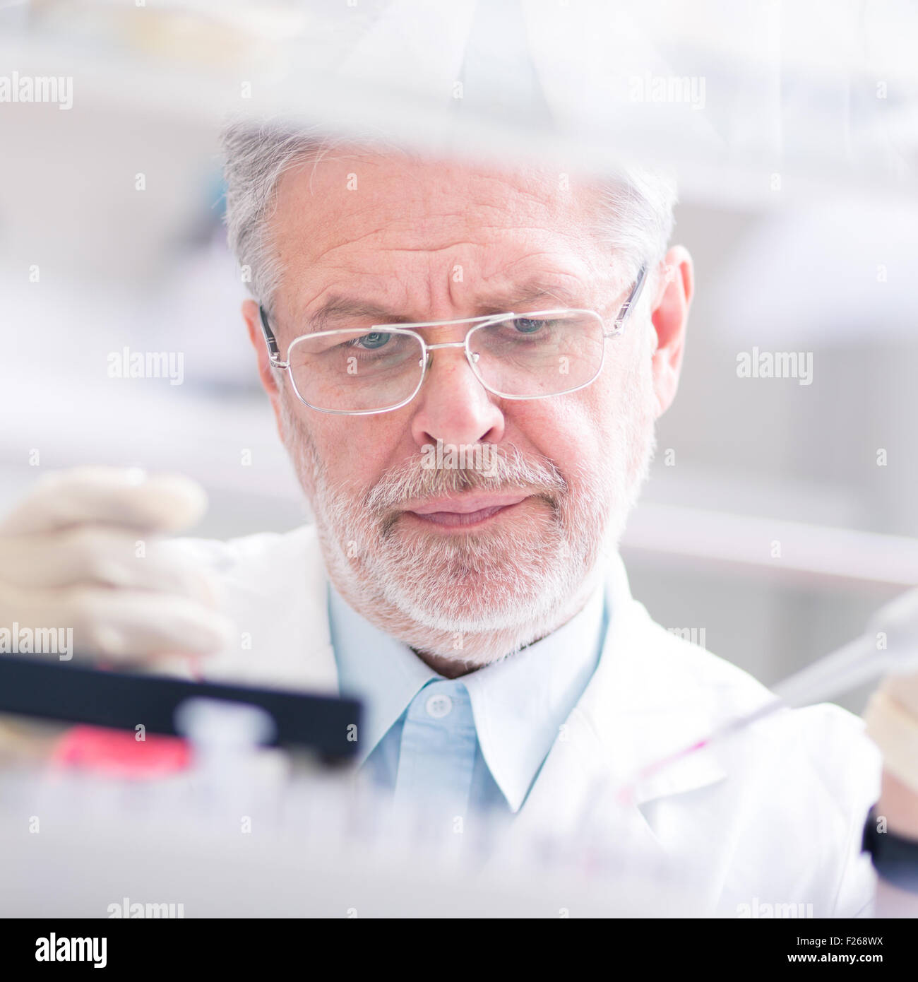 Le labo Banque de photographies et d’images à haute résolution - Alamy