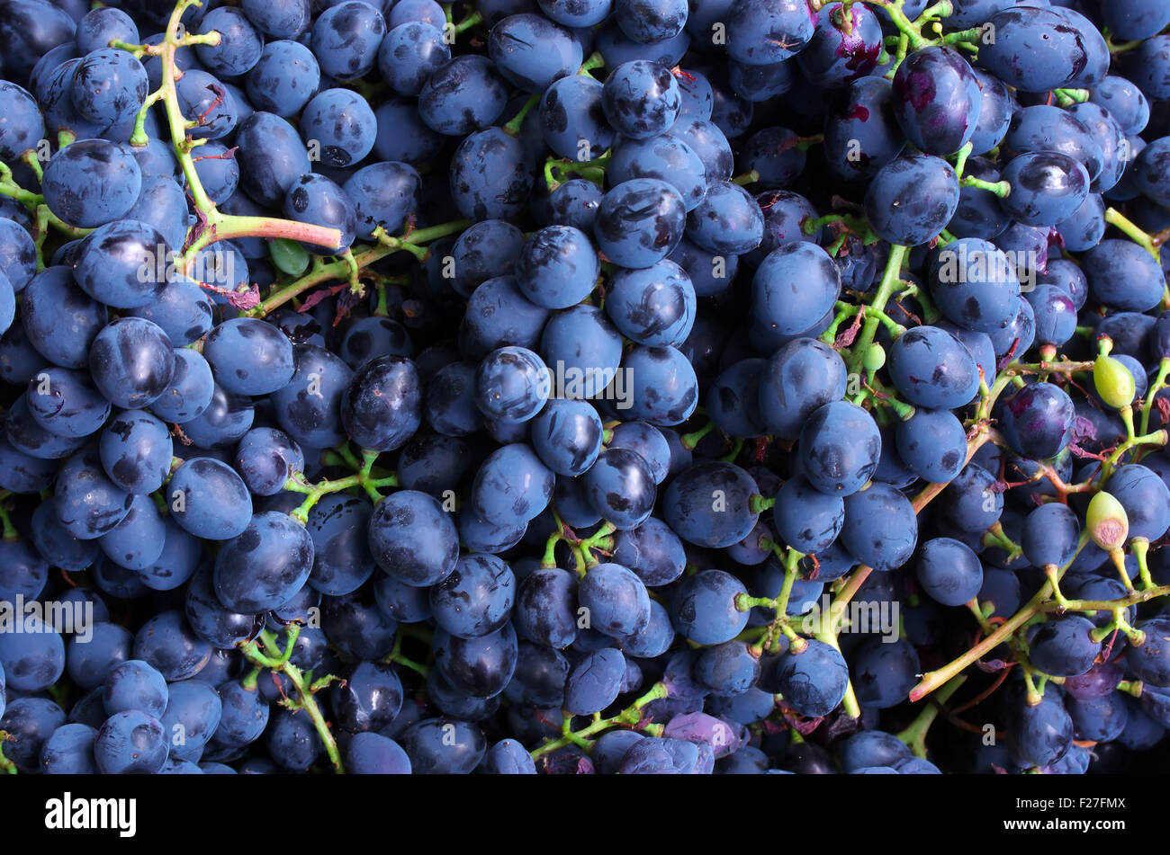 La texture du raisin. Élément de design Photo Stock - Alamy