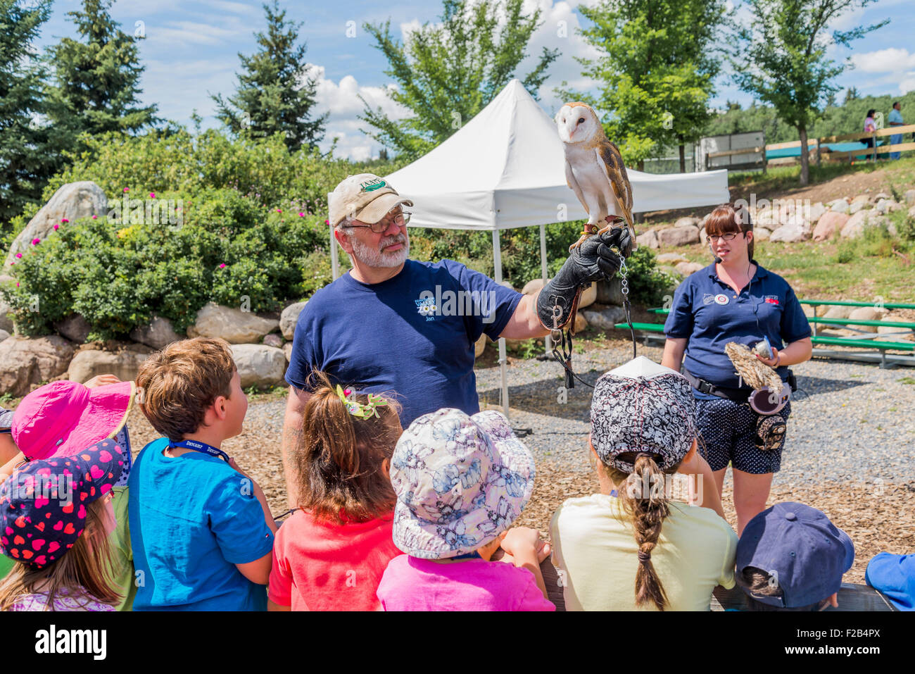 Edmonton valley zoo alberta canada edmonton barn owl zoo Banque de ...