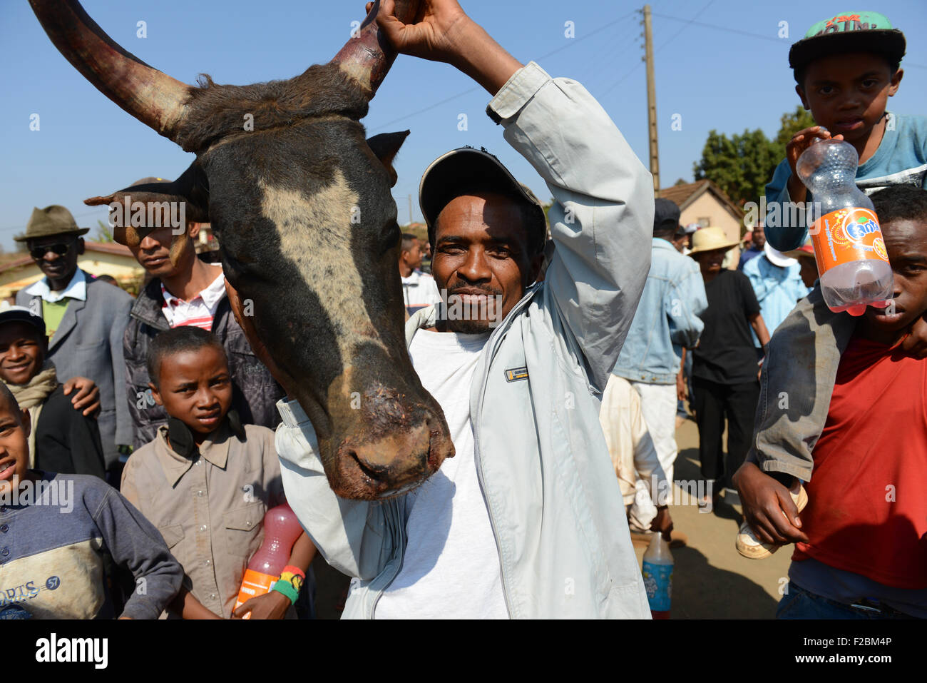 Zebu sacrifice ceremony Banque de photographies et d’images à haute ...