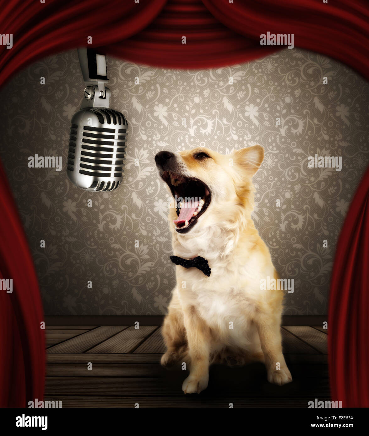 Chant animal Banque de photographies et d’images à haute résolution - Alamy
