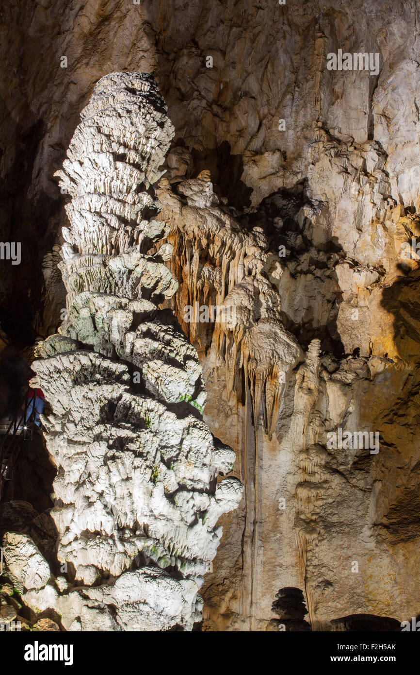 Avis de Grotta Gigante - grotte géante, Sgonico. Trieste Photo Stock ...