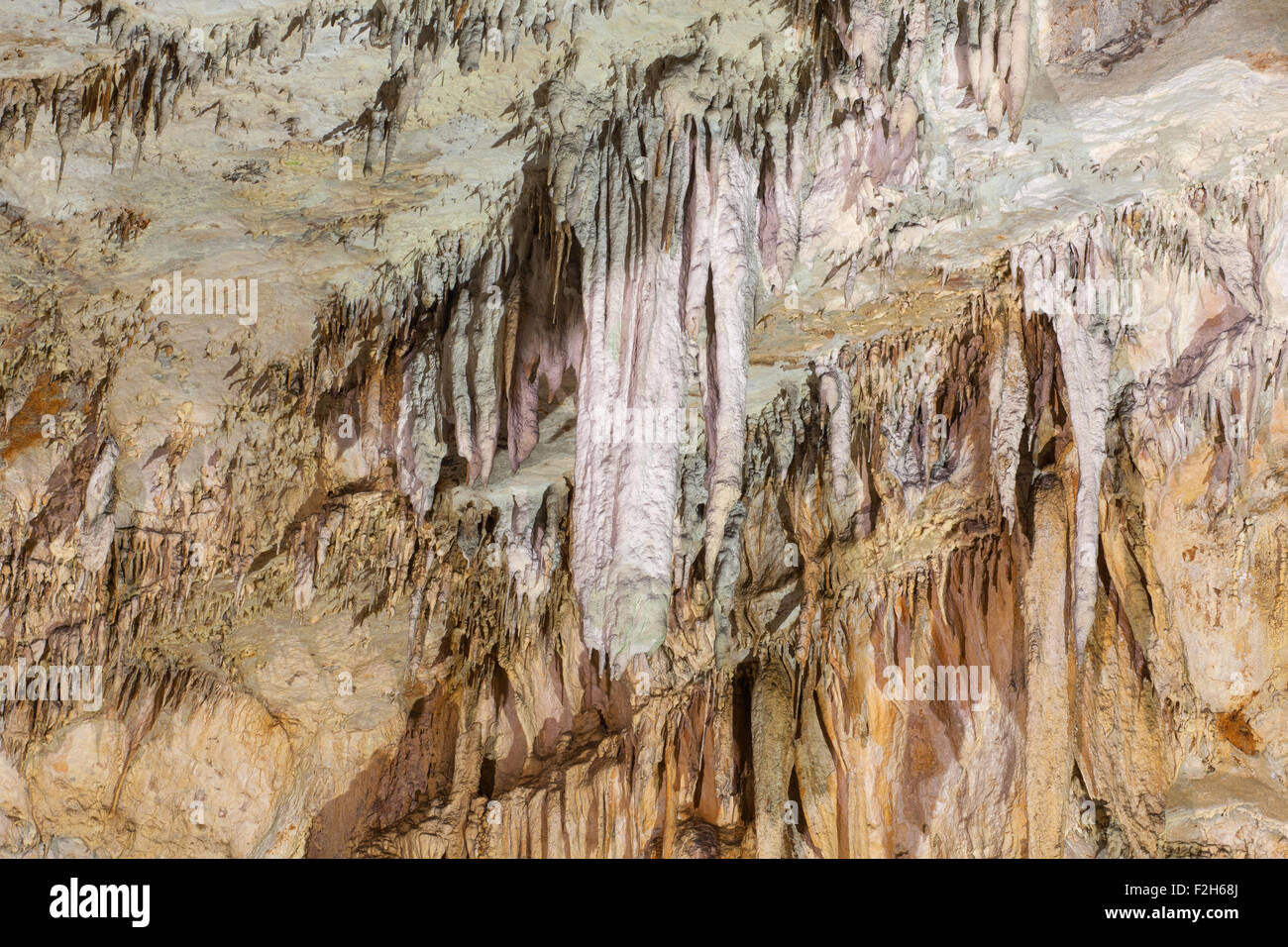 Avis de Grotta Gigante - grotte géante, Sgonico. Trieste Photo Stock ...