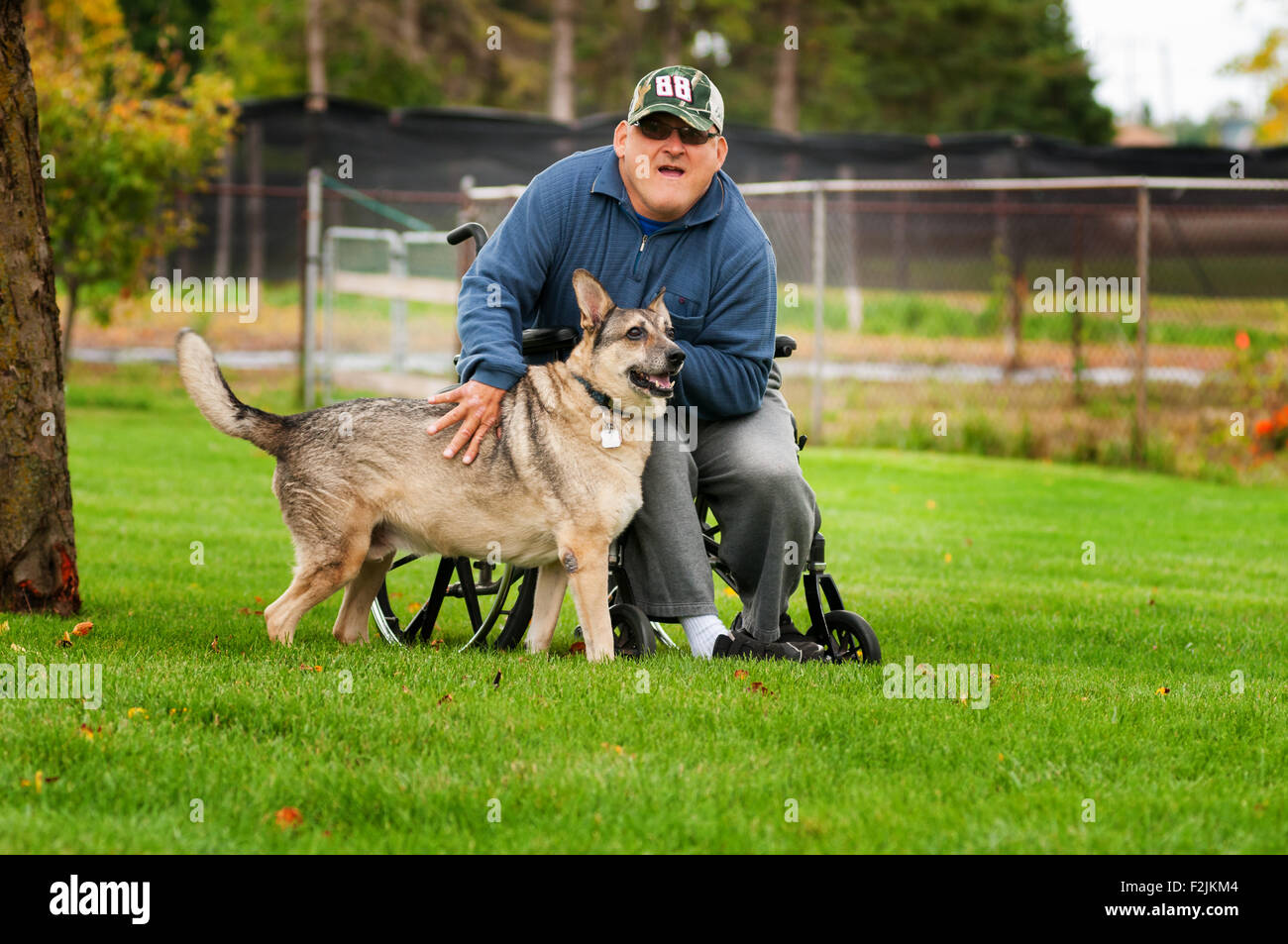 Homme en fauteuil roulant de flatter son chien de service Photo Stock ...
