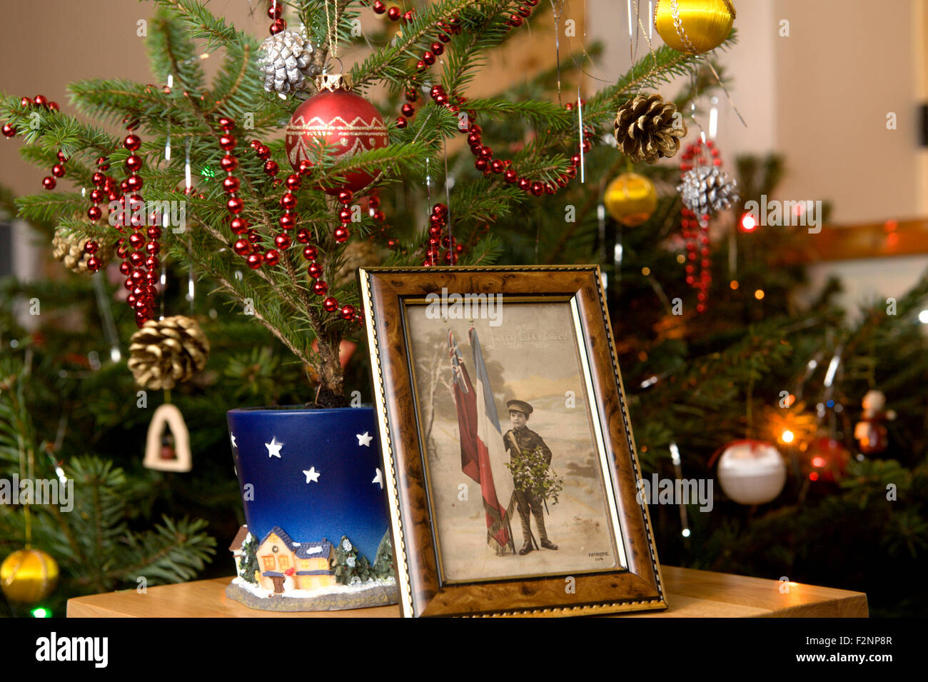 Arbre du monde des drapeaux Banque de photographies et d’images à haute résolution - Page 2 - Alamy