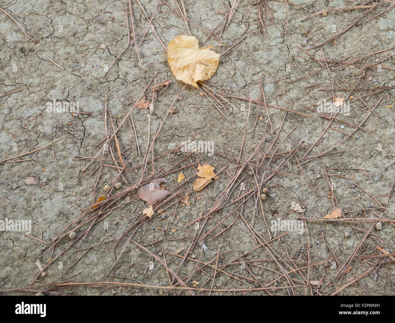 Sol sec Banque de photographies et d’images à haute résolution - Alamy