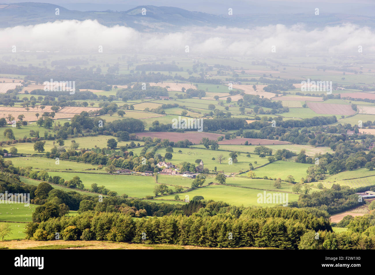 Mortimer forest Banque de photographies et d’images à haute résolution ...