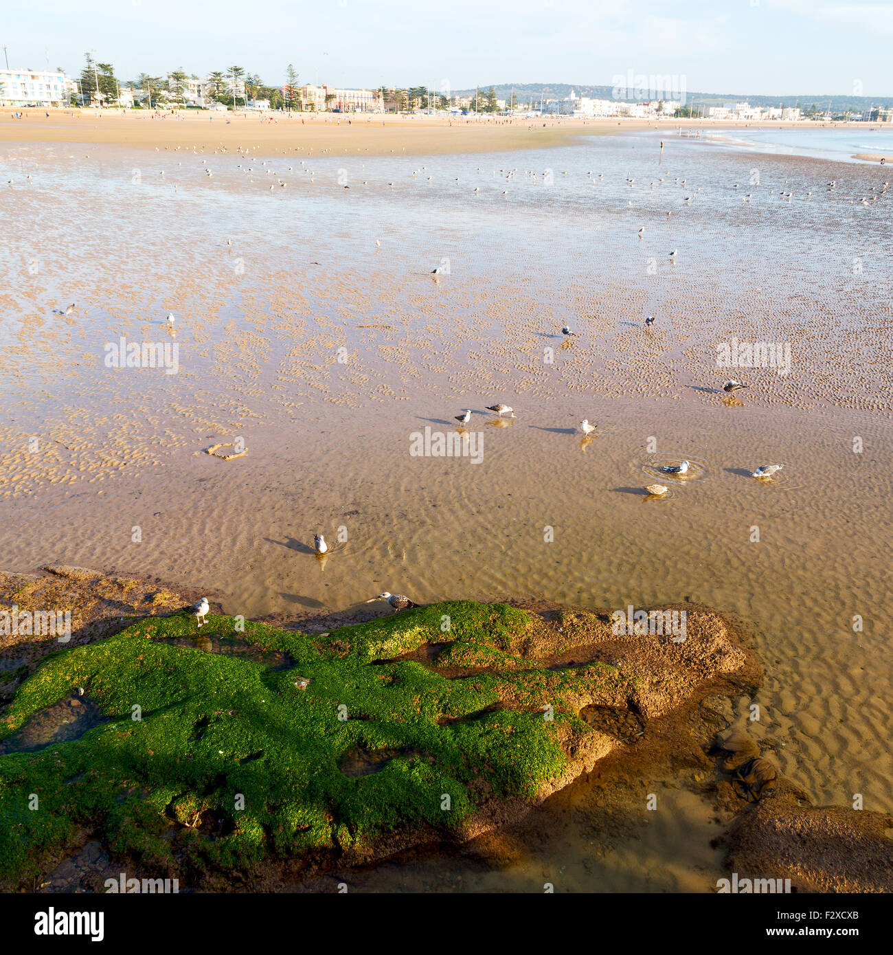Résumé au maroc afrique mer océan vagues et paysage Photo Stock - Alamy