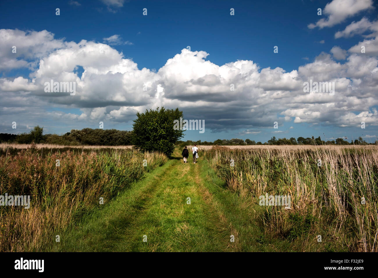 Promenade à la campagne Banque de photographies et d’images à haute ...