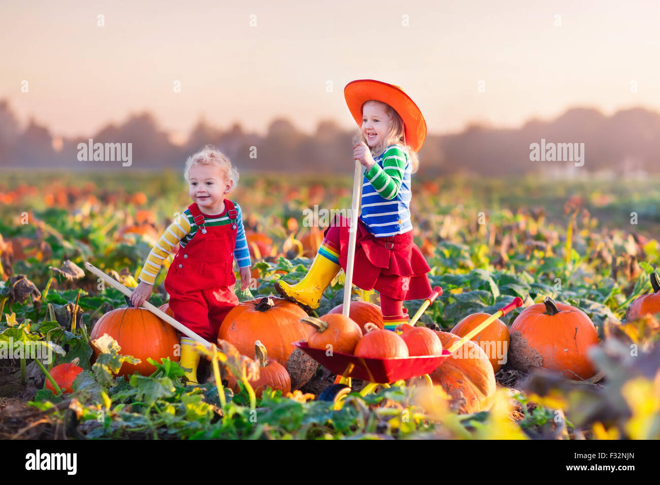 Little girl et boy picking sur citrouilles Halloween Pumpkin Patch ...
