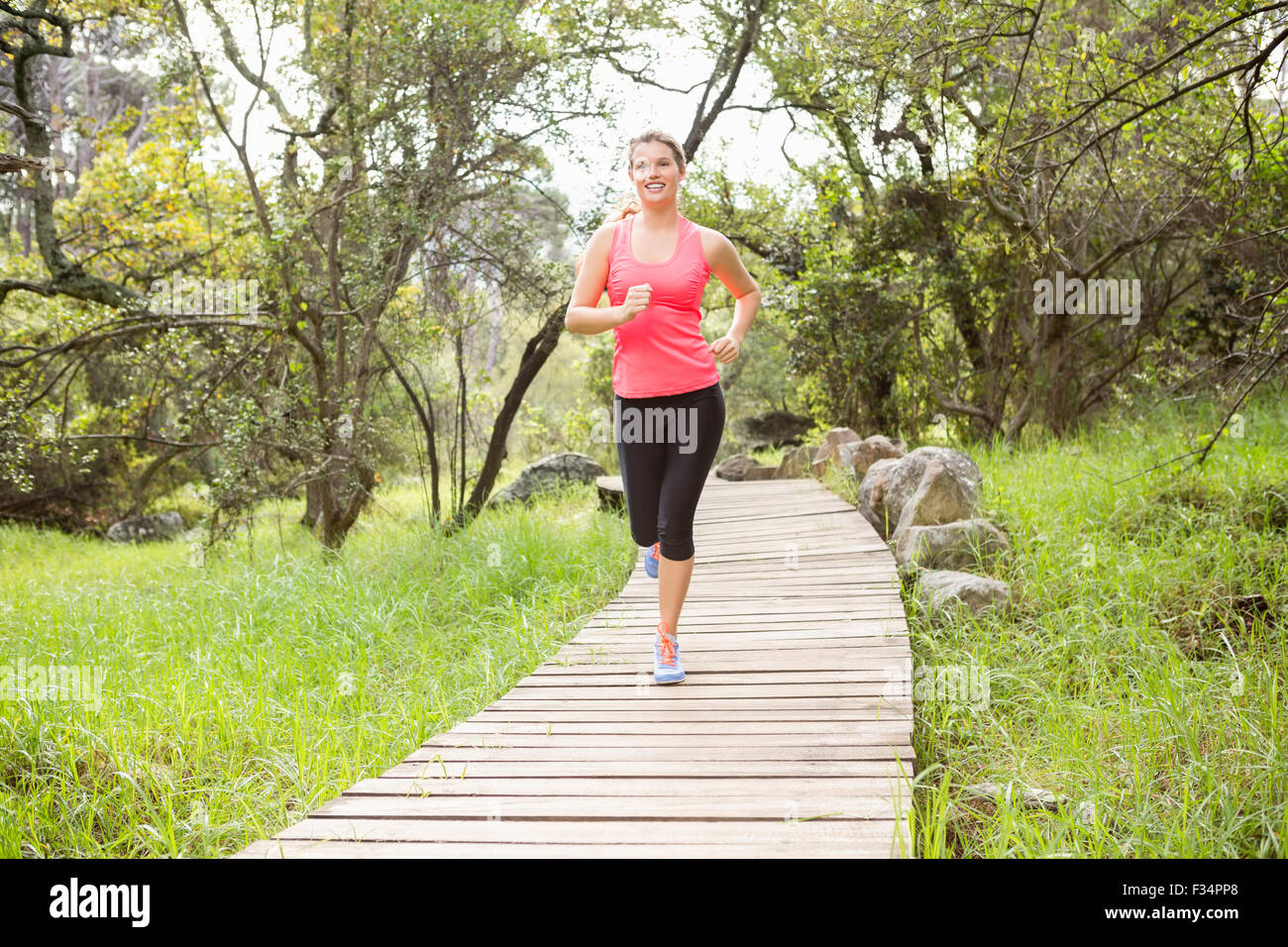 Chemin de bois Banque de photographies et d’images à haute résolution ...